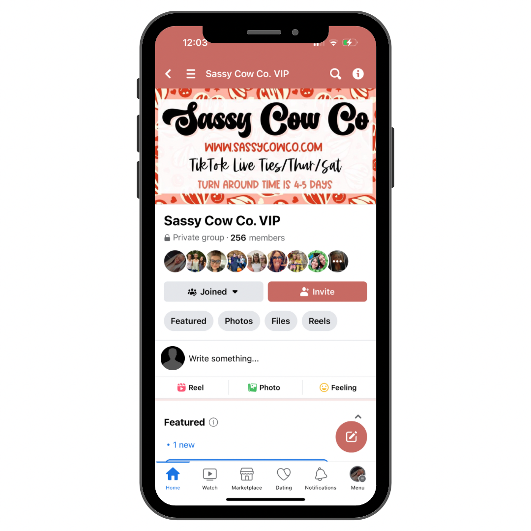 Sassy Cow Co. | Glitters